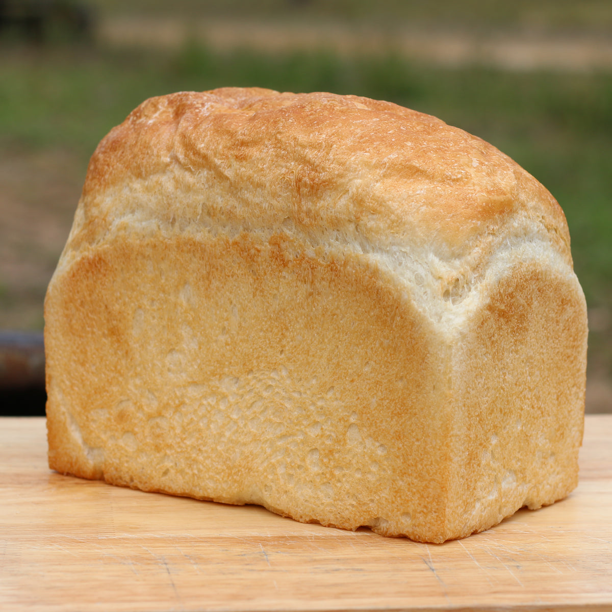 HOMEMADE SOURDOUGH SANDWICH BREAD *FROZEN UNCUT – Eden Farmers Organics