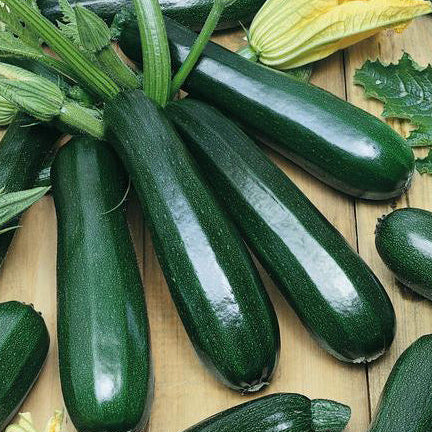 ZUCCHINI *500g - CERTIFIED ORGANIC – Eden Farmers Organics