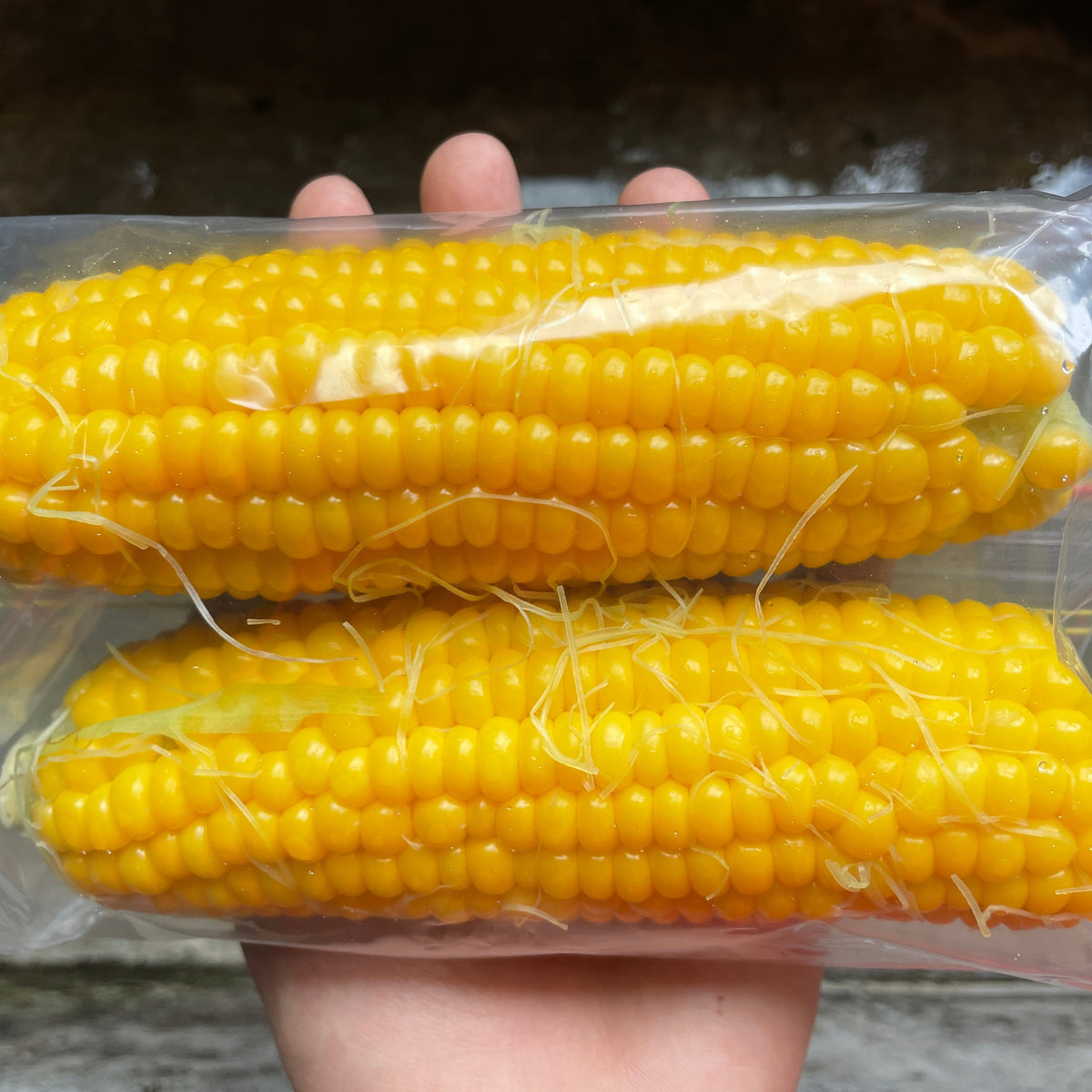 SWEET CORN COBS *Frozen - ORGANIC (EDEN FARMERS) – Eden Farmers Organics